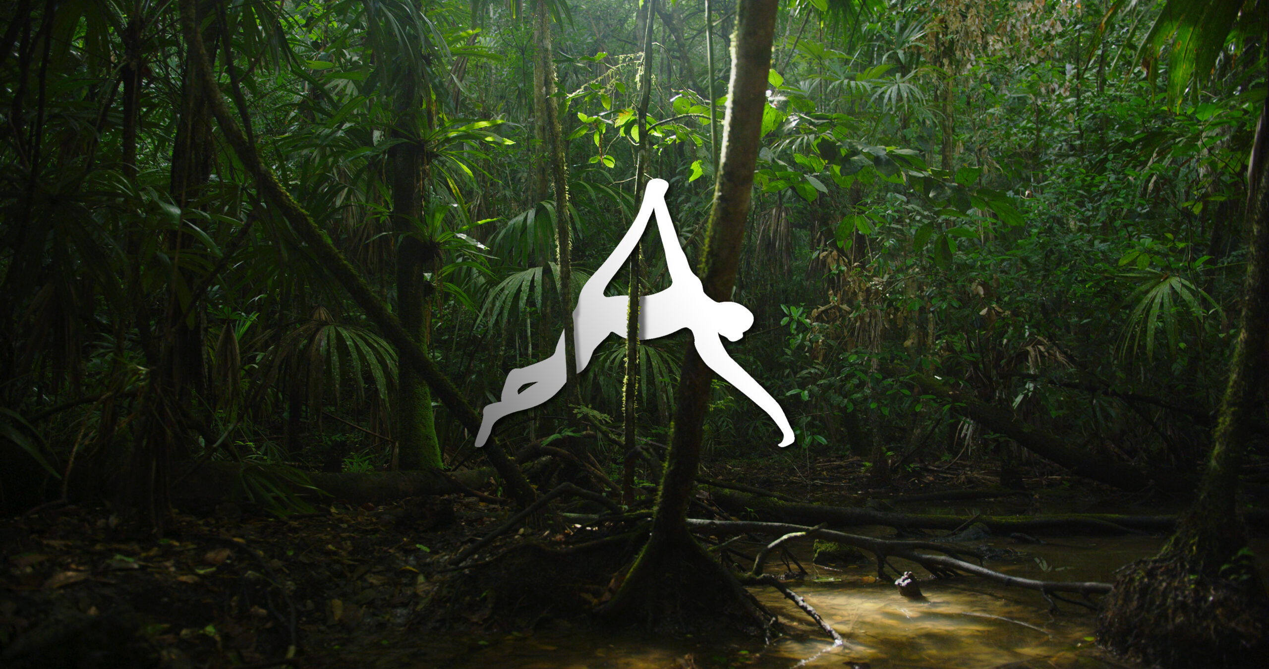 Ateles Films Home - Ateles Films - a wildlife film production company